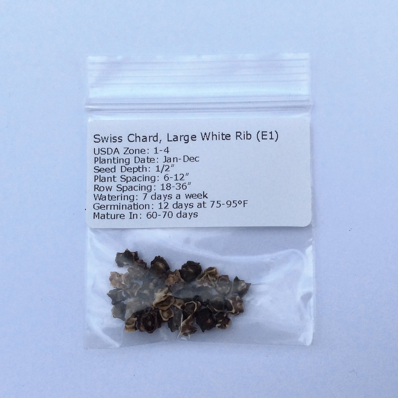 Swiss Chard Seeds - Organic, Heirloom, Open Pollinated, Non GMO - Grow ...