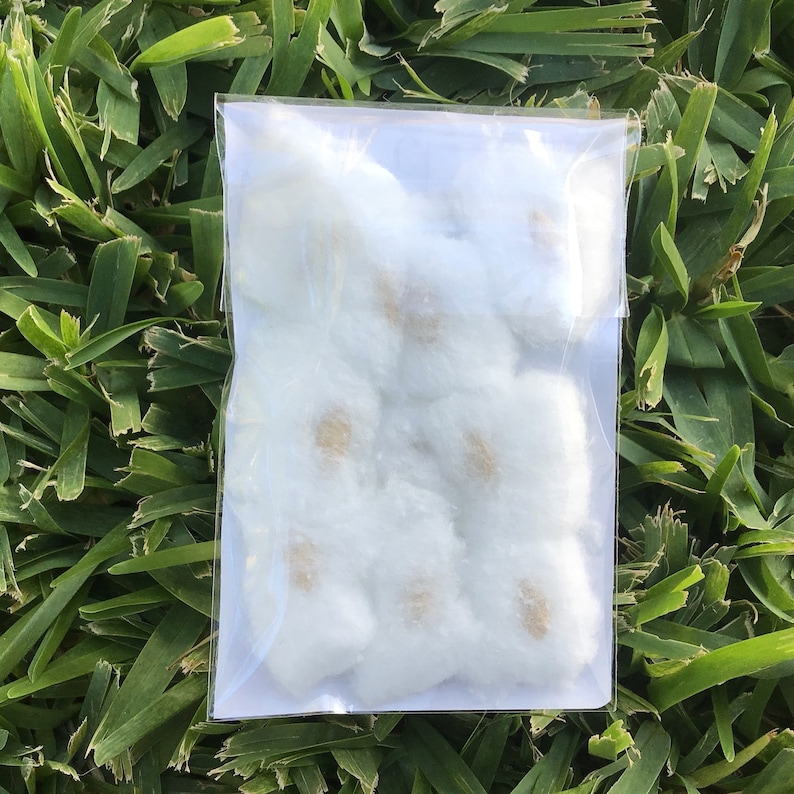 Grow Baggie - Ready to Go Fast Germination Seed Kit - Includes Organic ...