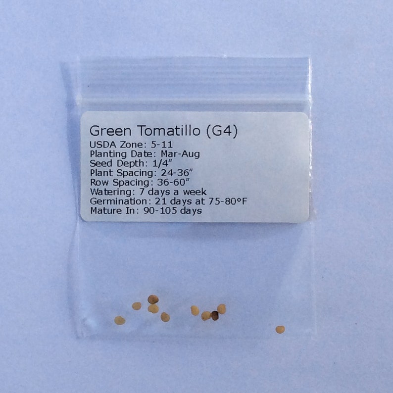 Green Tomatillo Seeds - Organic, Heirloom, Open Pollinated, Non GMO ...