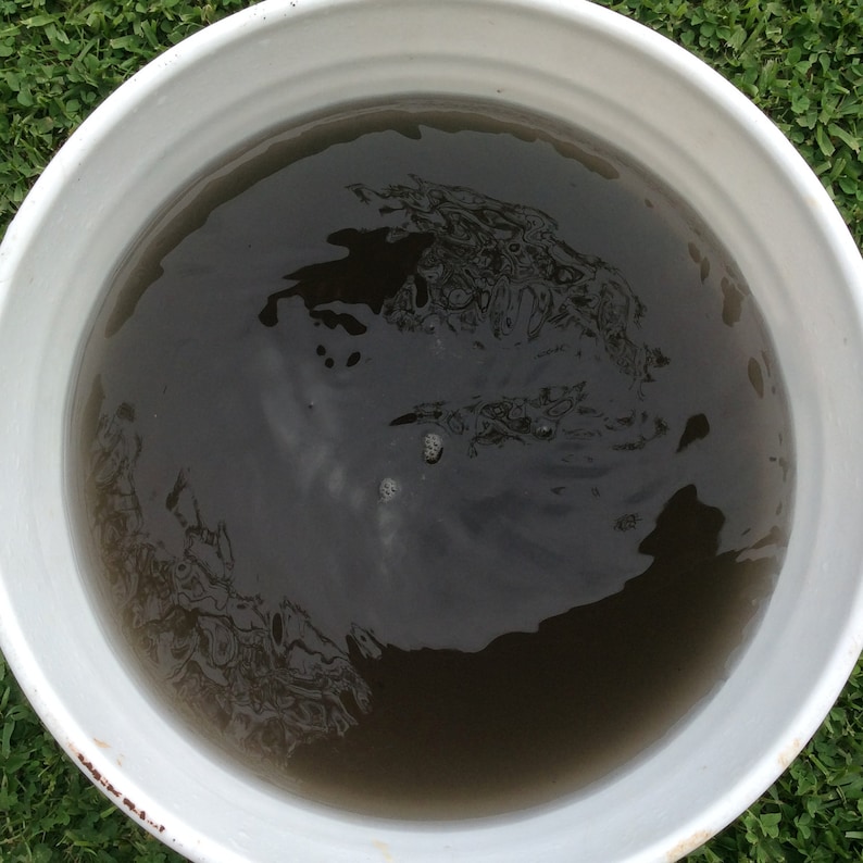 Compost Tea for Plants - 100% Organic Fertilizer - for Indoors ...