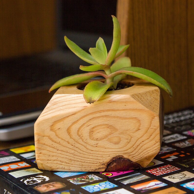 Modern Wood Planters - Set of 4 Beautiful Succulent Planter Decor for ...