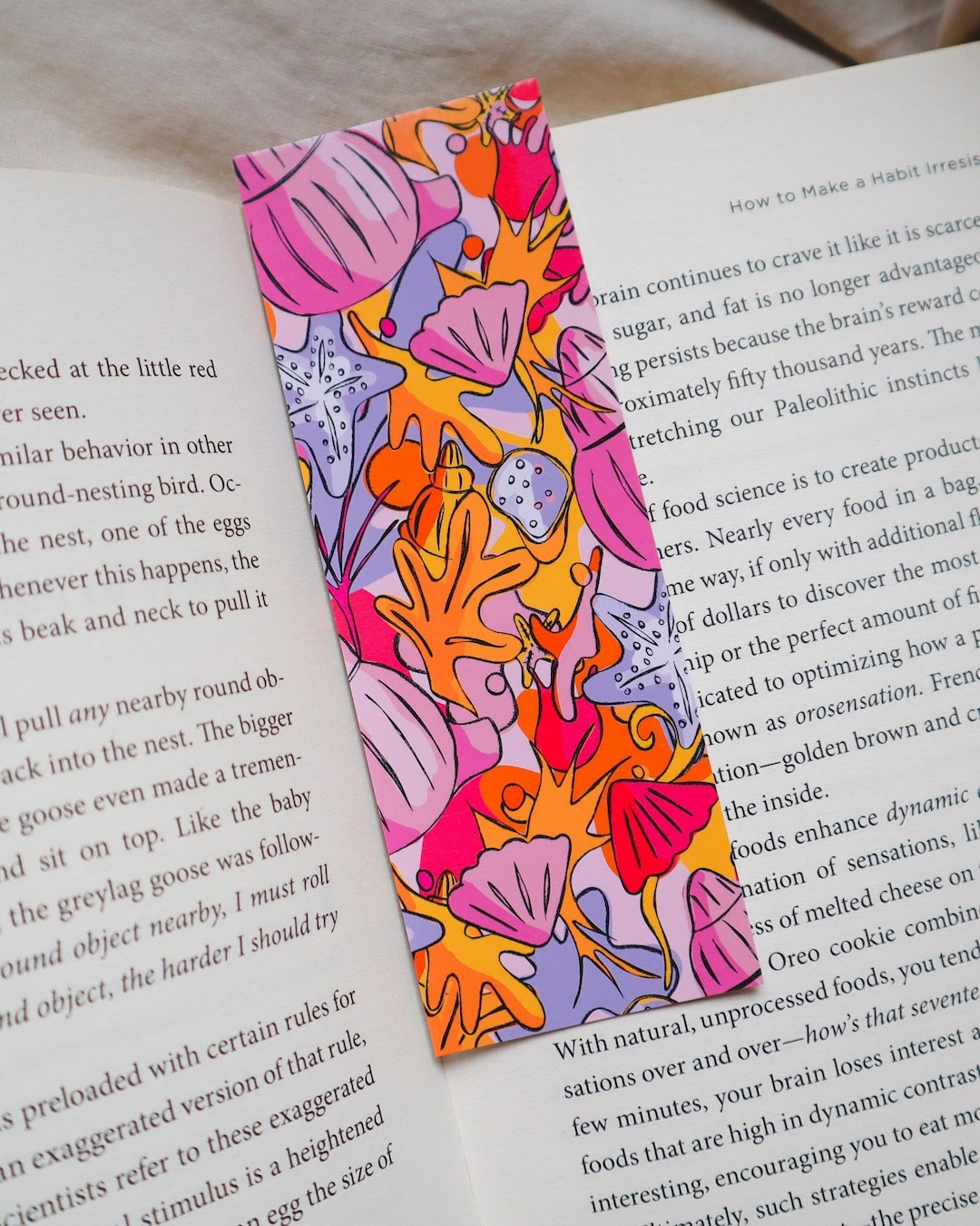 Sea Shells Bookmark: Colorful Ocean Illustration, Glossy Paper - Etsy