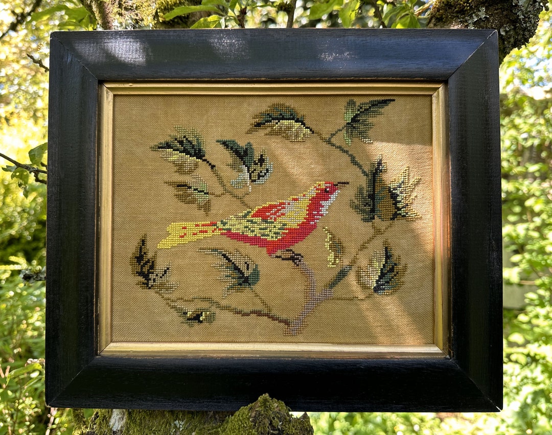 Elizabeth's Bird - A Reproduction PDF Chart - Etsy