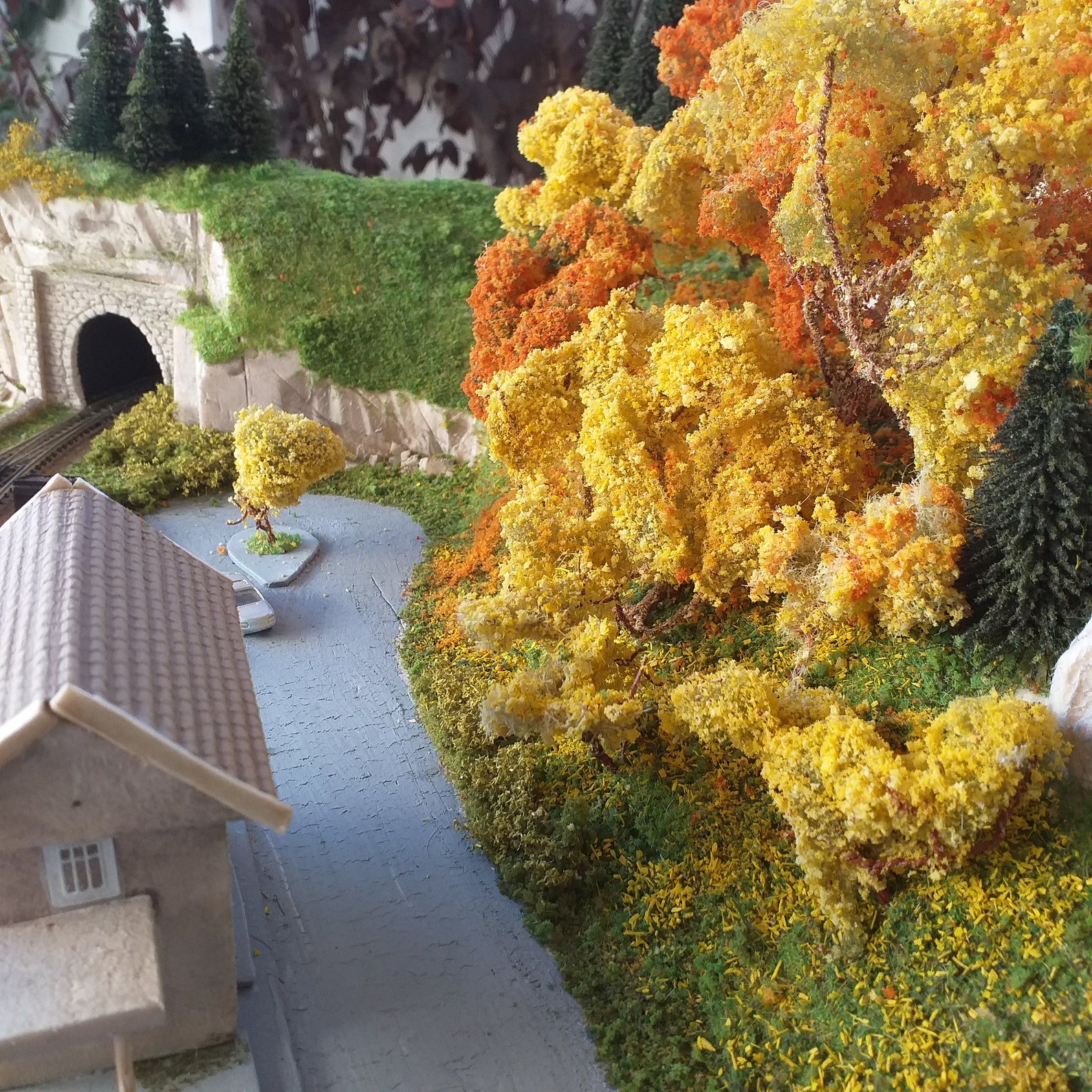 Realistic N Scale Model Railway Layout, Forest Mountain, 49.2x23.6 ...