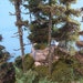 Diorama Scenic Lake With Forest Road Suits Scale 1/32 to 1/100 - Etsy
