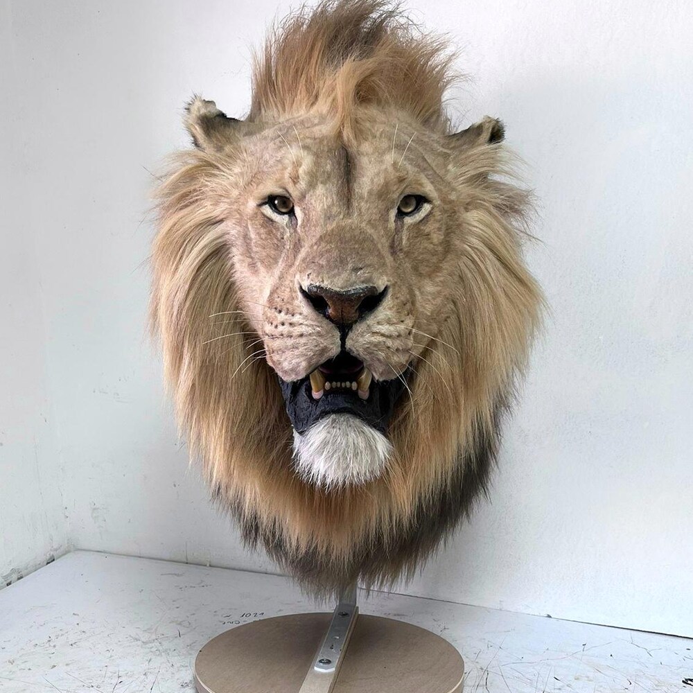 AnimalReplicas - Etsy