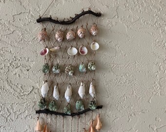 Seashell decor | Etsy