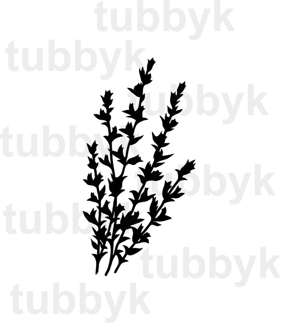 Rama SVG Archivo SVG Deja SVG Foliage svg Silueta Cricut | Etsy