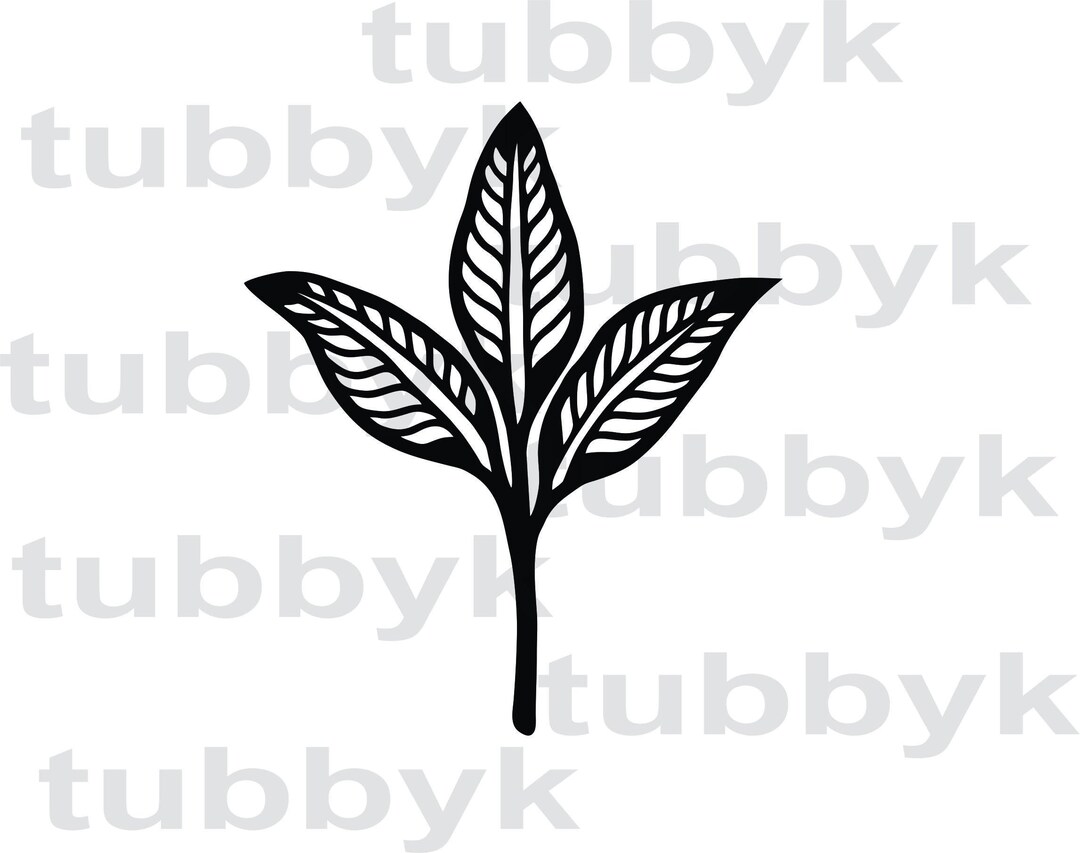 Leaves SVG. Leaf SVG, Plant SVG, Svg File, Cutting File, Cut File, Clip ...