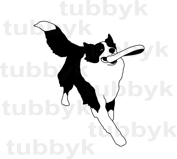 Border Collie SVG SVG File Dog SVG Svg Clip Art Cutting | Etsy