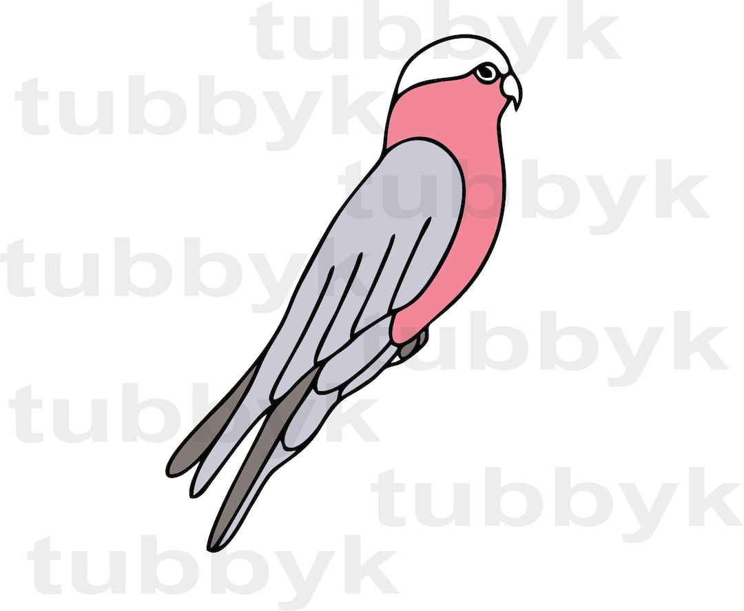 Galah Clip Art, Bird Clip Art, Australia Clip Art, Aussie Clip Art ...