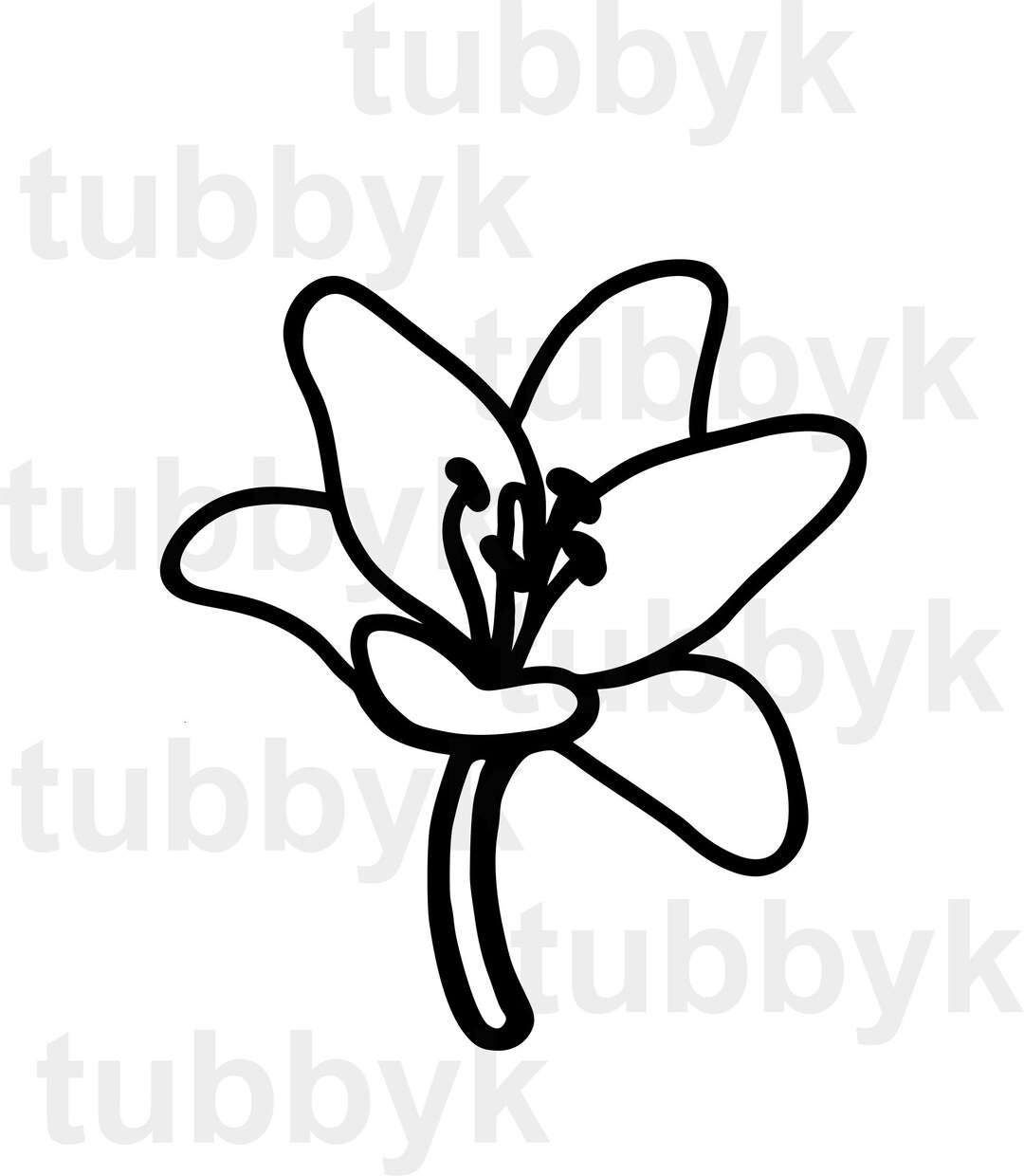 Lily SVG Flower Cut File Clip Art Digital Download Silhouette Cricut - Etsy