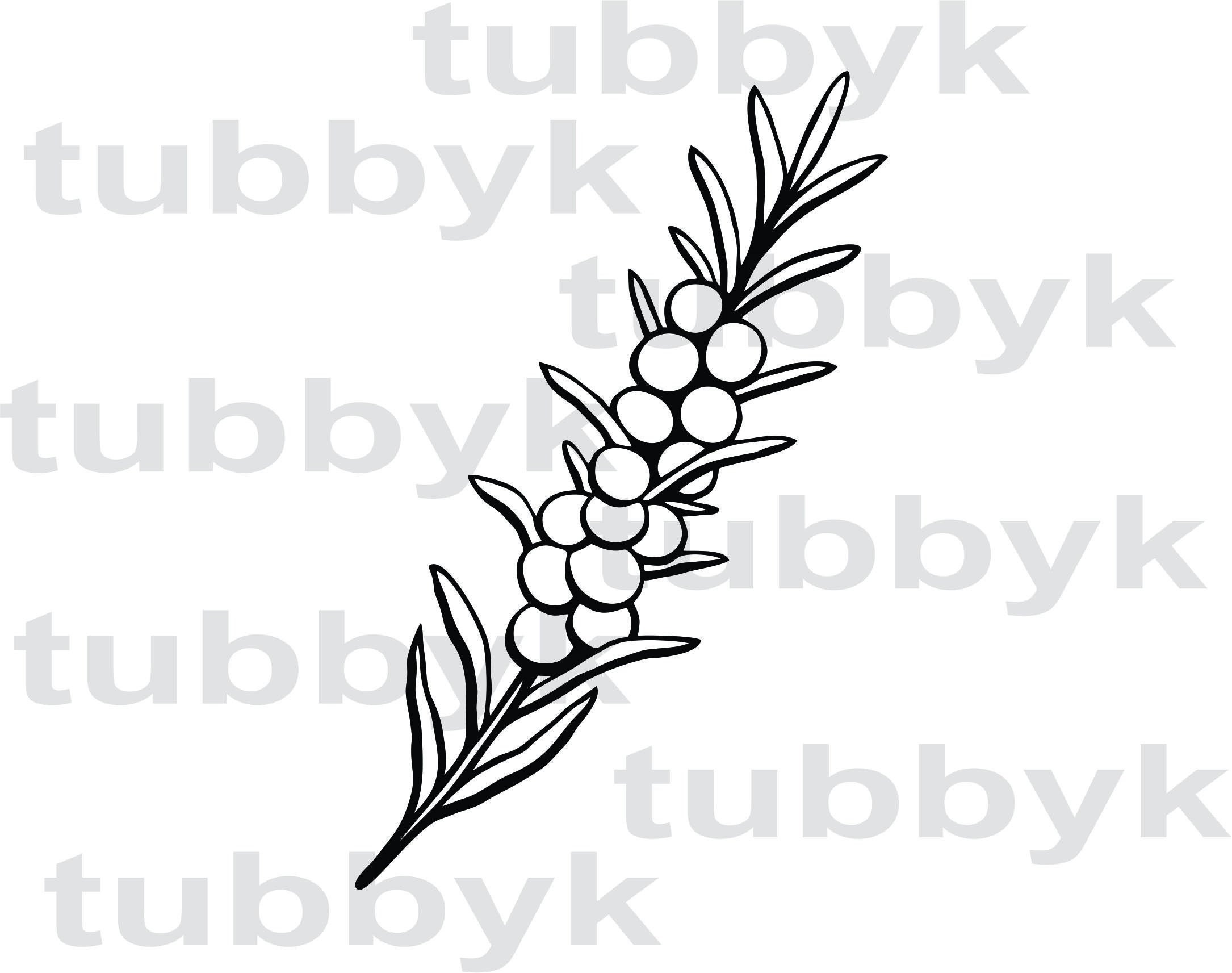 Berries SVG, Branch SVG, SVG, Plant Svg, Botanical Svg, Silhouette ...