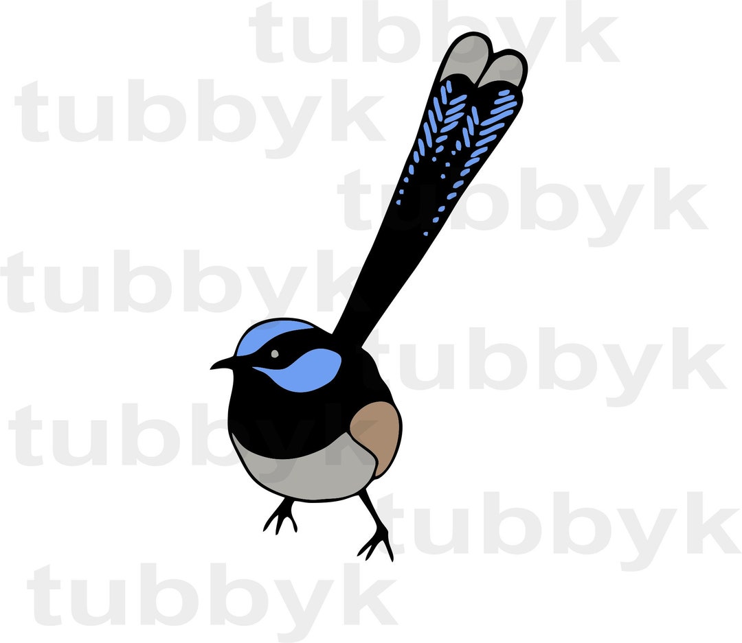 Blue Wren Clip Art, Bird Clip Art, Wren Clip Art, Australia Clip Art ...