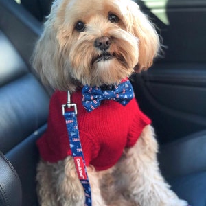 Coco & Pud Hamptons Dog Collar - Etsy