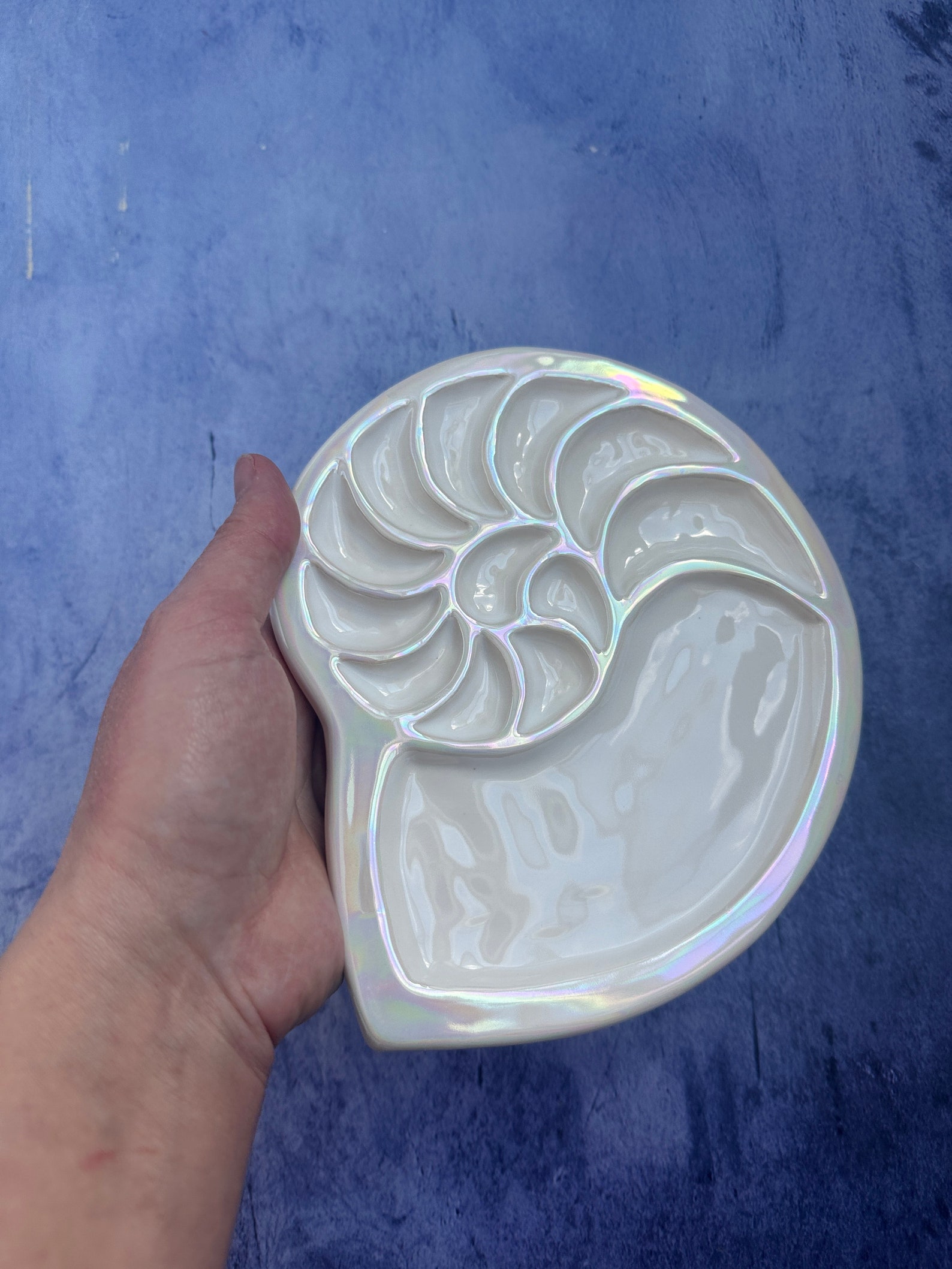 Handmade Ceramic Sea Shell Watercolor Palette: White and Mother of ...