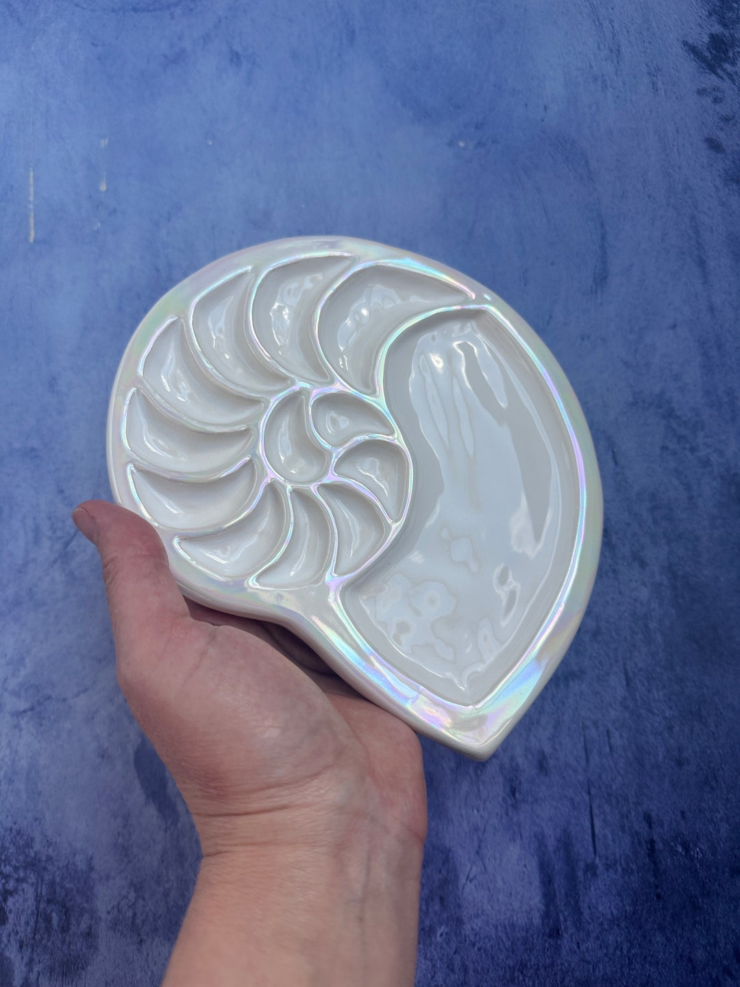 Handmade Ceramic Sea Shell Watercolor Palette: White and Mother of ...