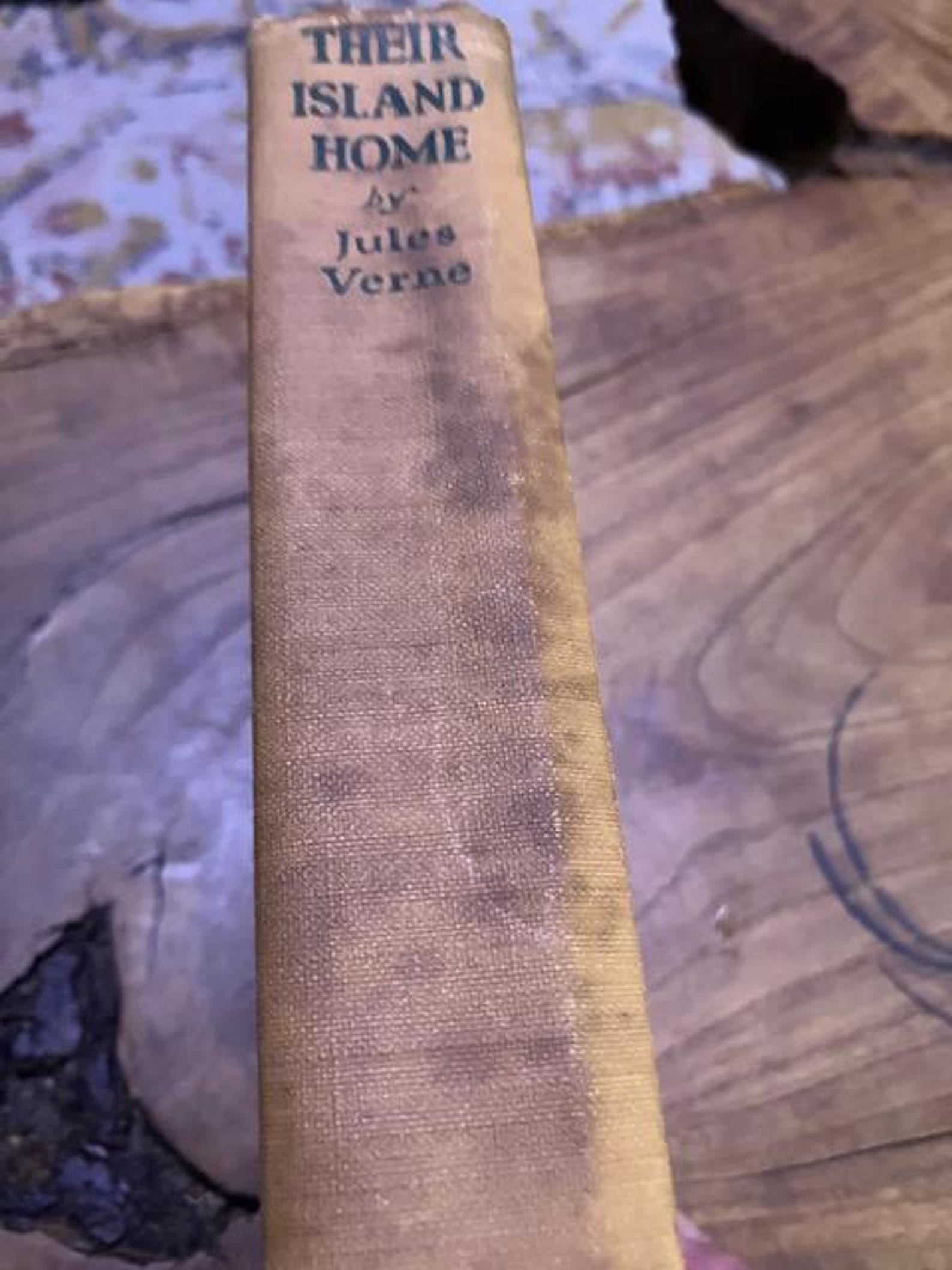 Their Island Home Jules Verne Rare Antique Hardcover Novel Classic ...