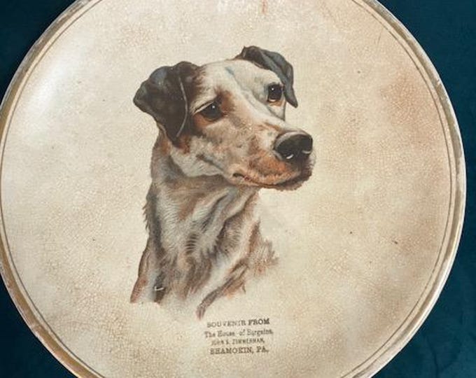 Vintage Dog Souvenir Advertising Plate – Shamokin, PA Funeral Home - Etsy