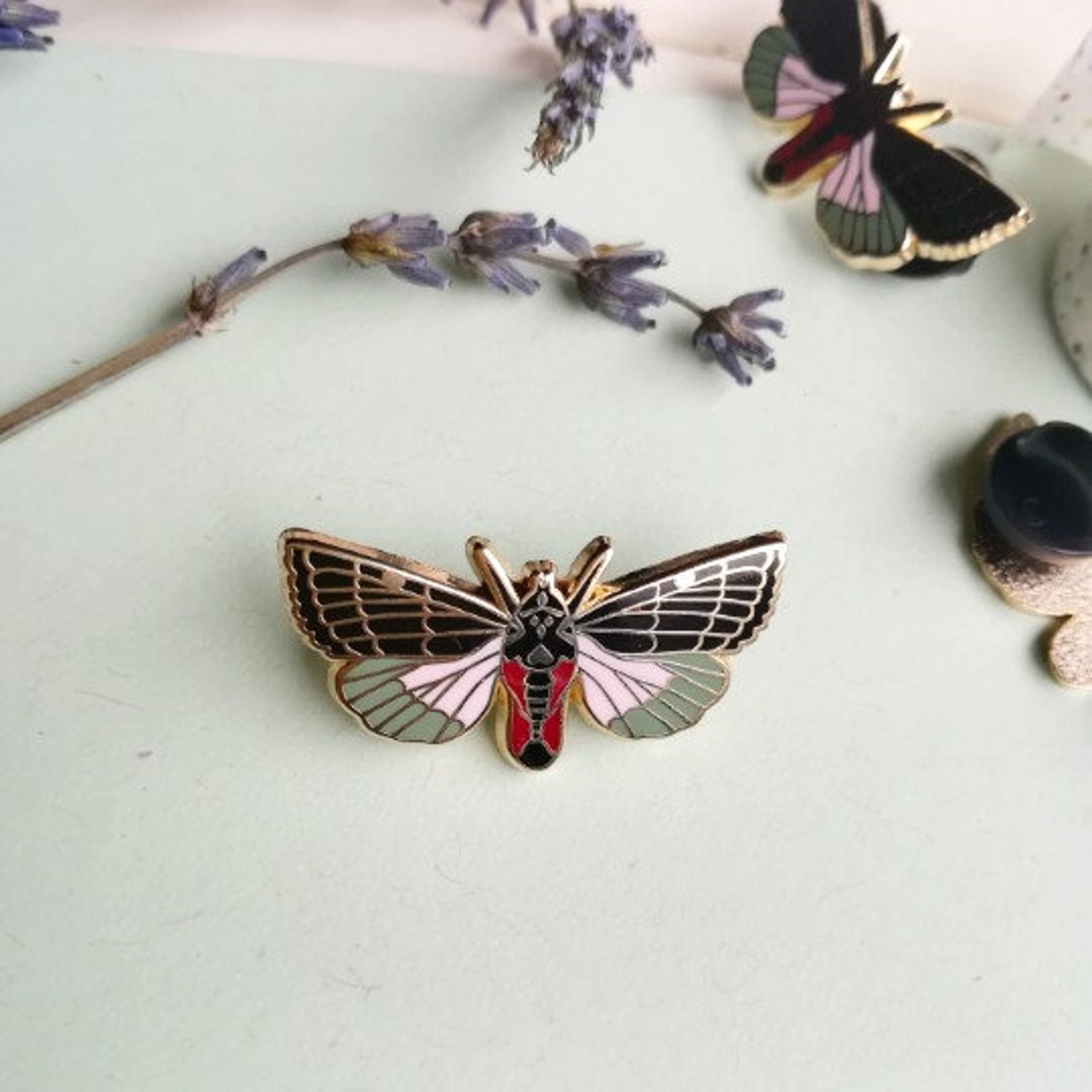 Meterana Meyricci Enamel Pin, Native NZ Moth, New Zealand, Hard Enamel ...