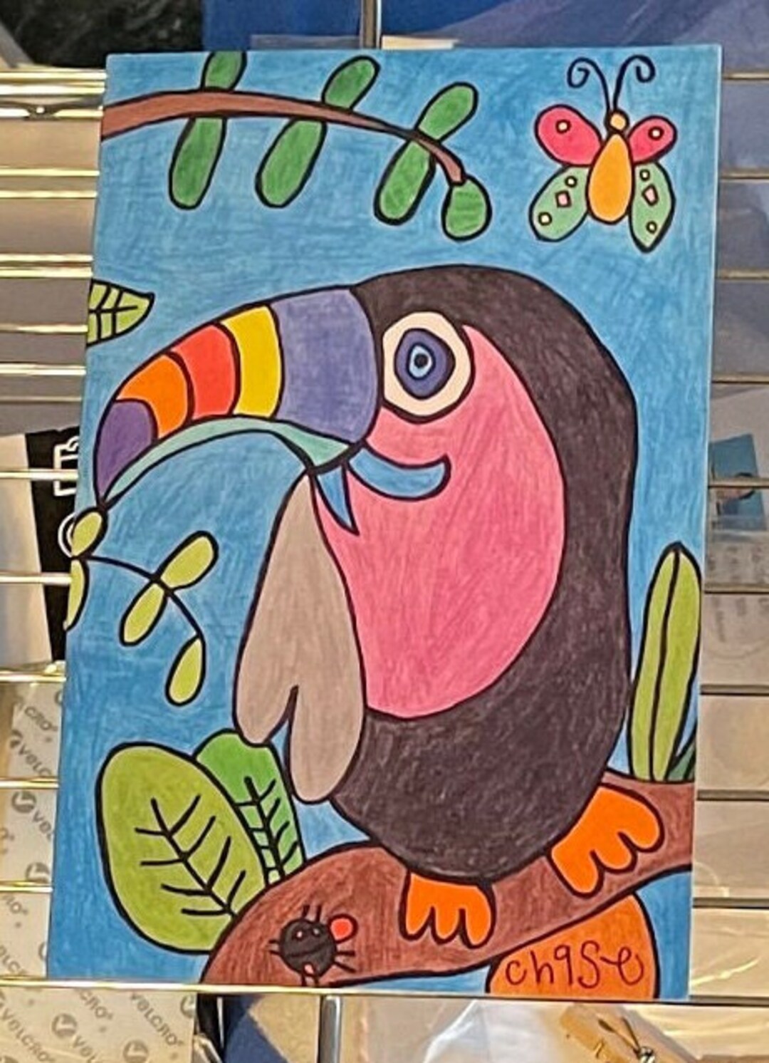 Parrot Note Card - Etsy