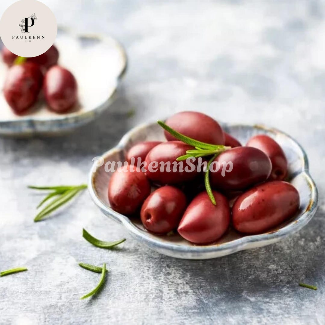 Kalamata Olive Tree Seeds - Grow Your Own - 10 Pcs - Etsy