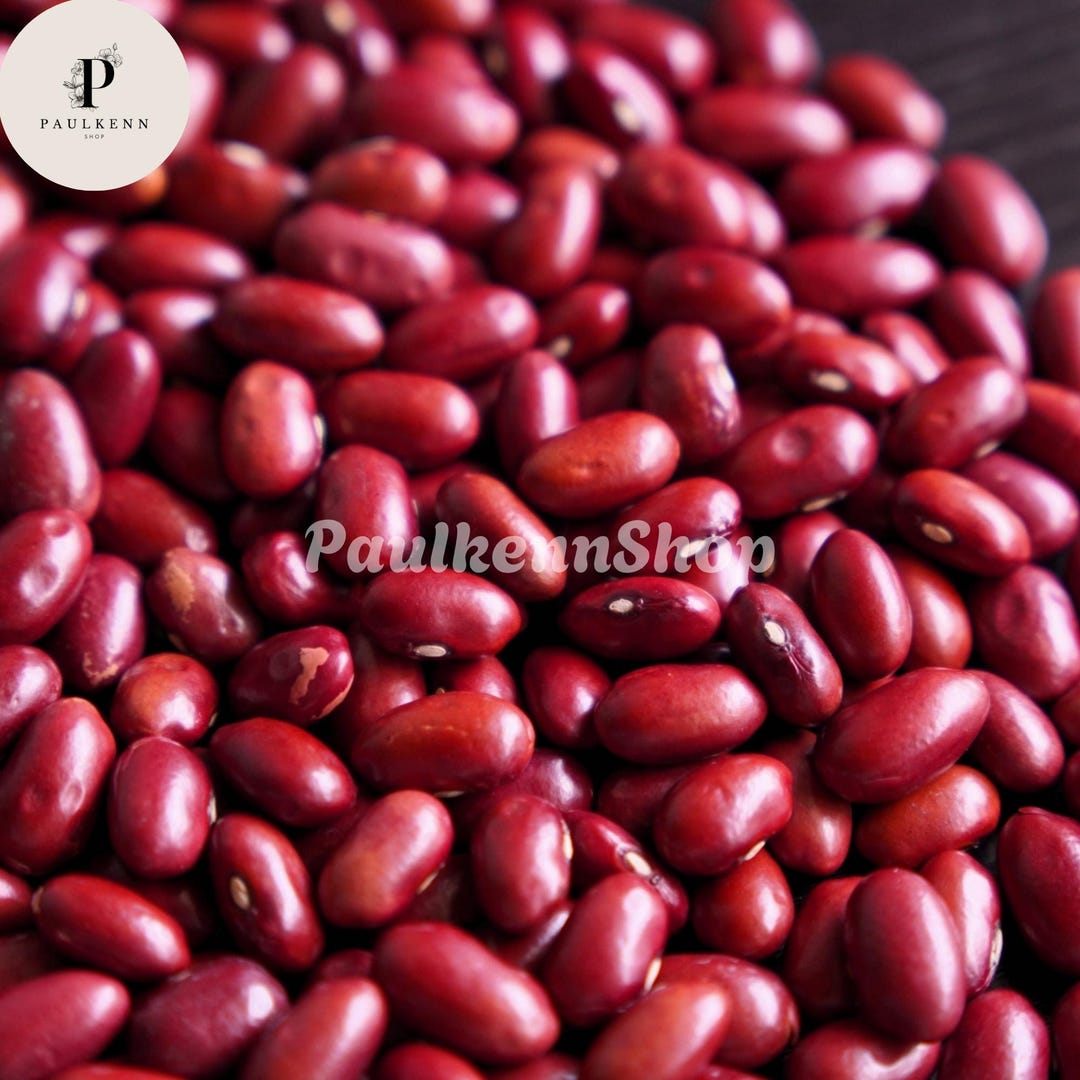 50 Small Red Bean Seeds: Phaseolus Vulgaris - Organic Vegetable - Etsy