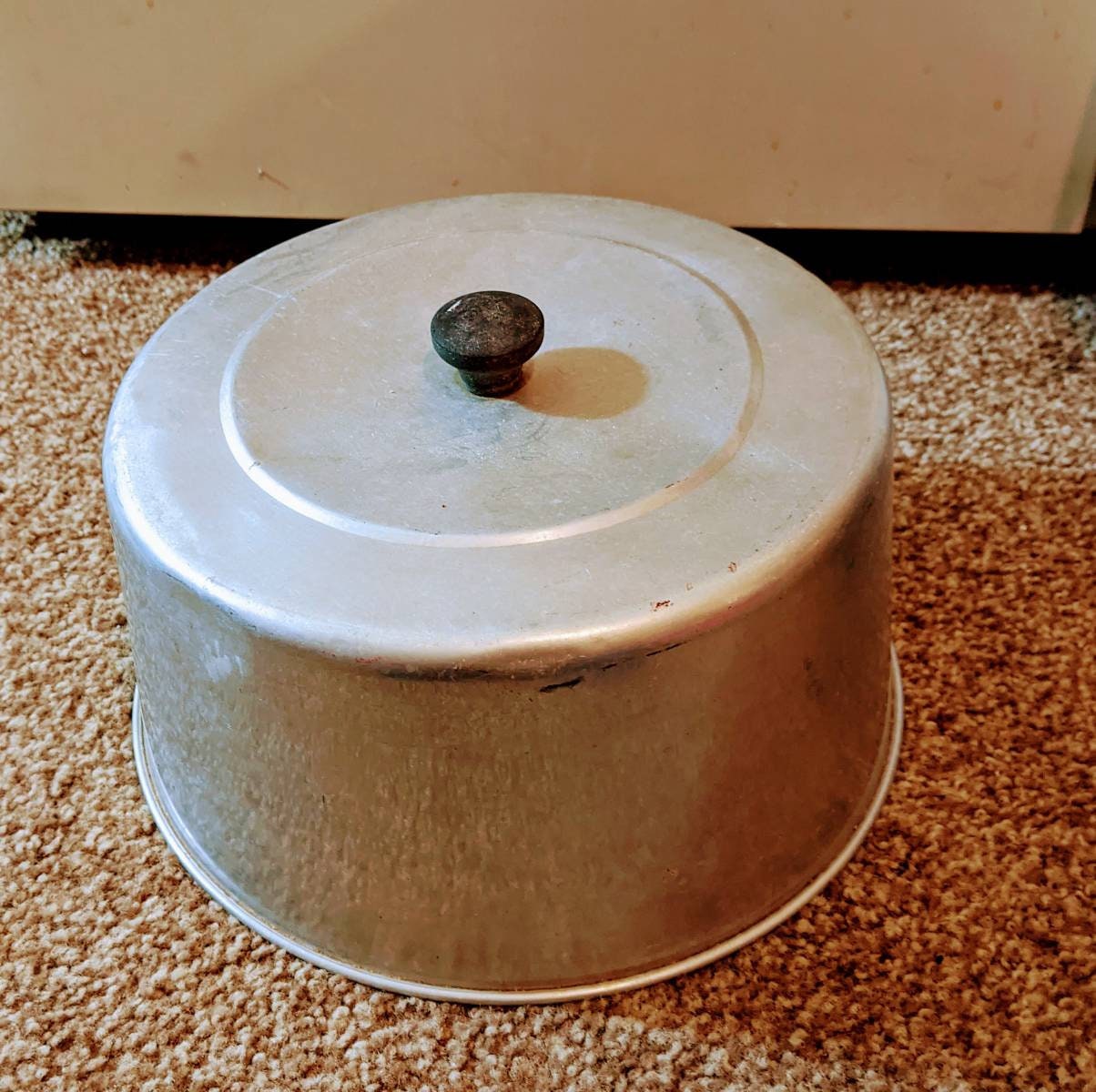 Vintage Cake Cover - Etsy