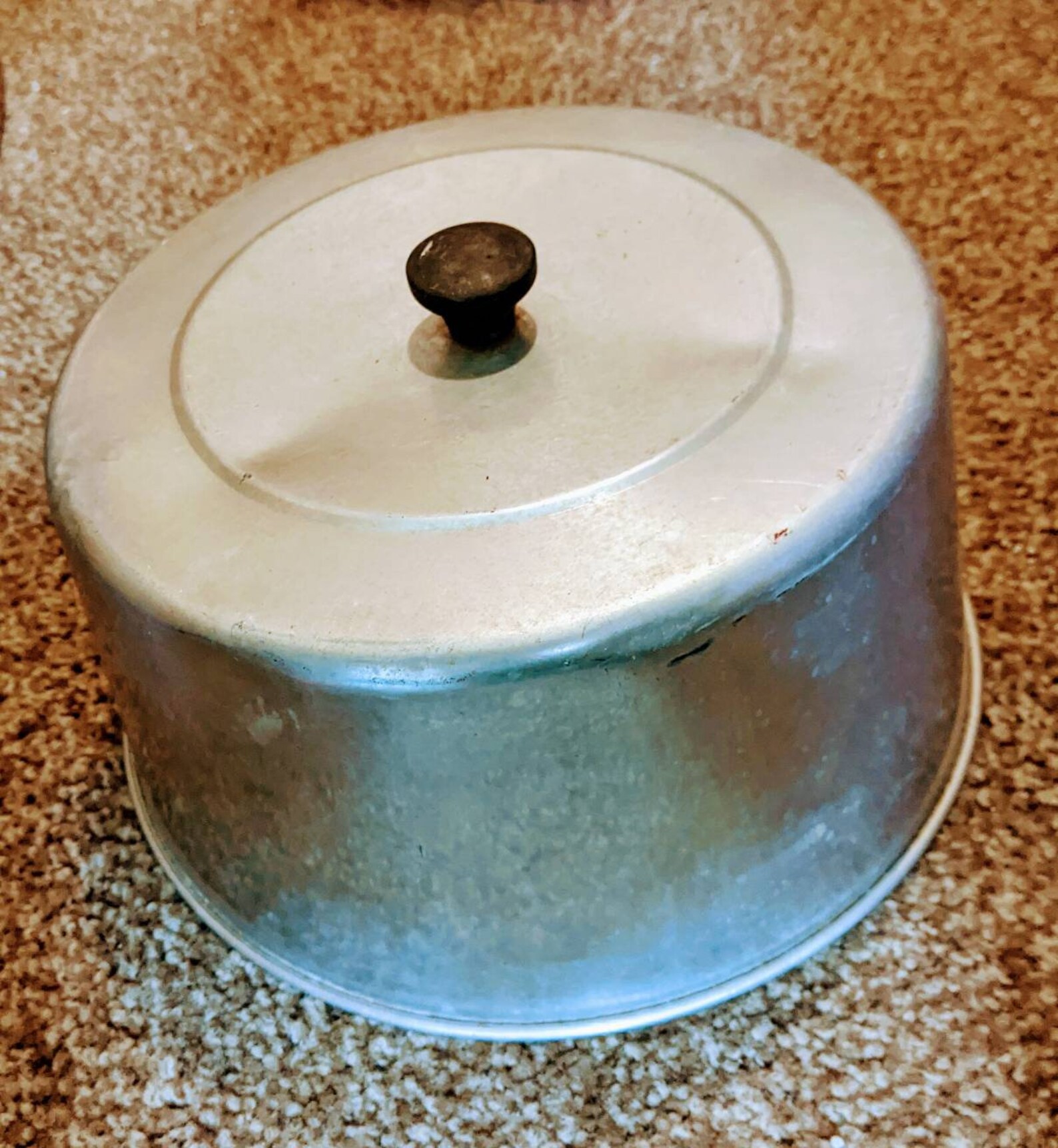 Vintage Cake Cover - Etsy