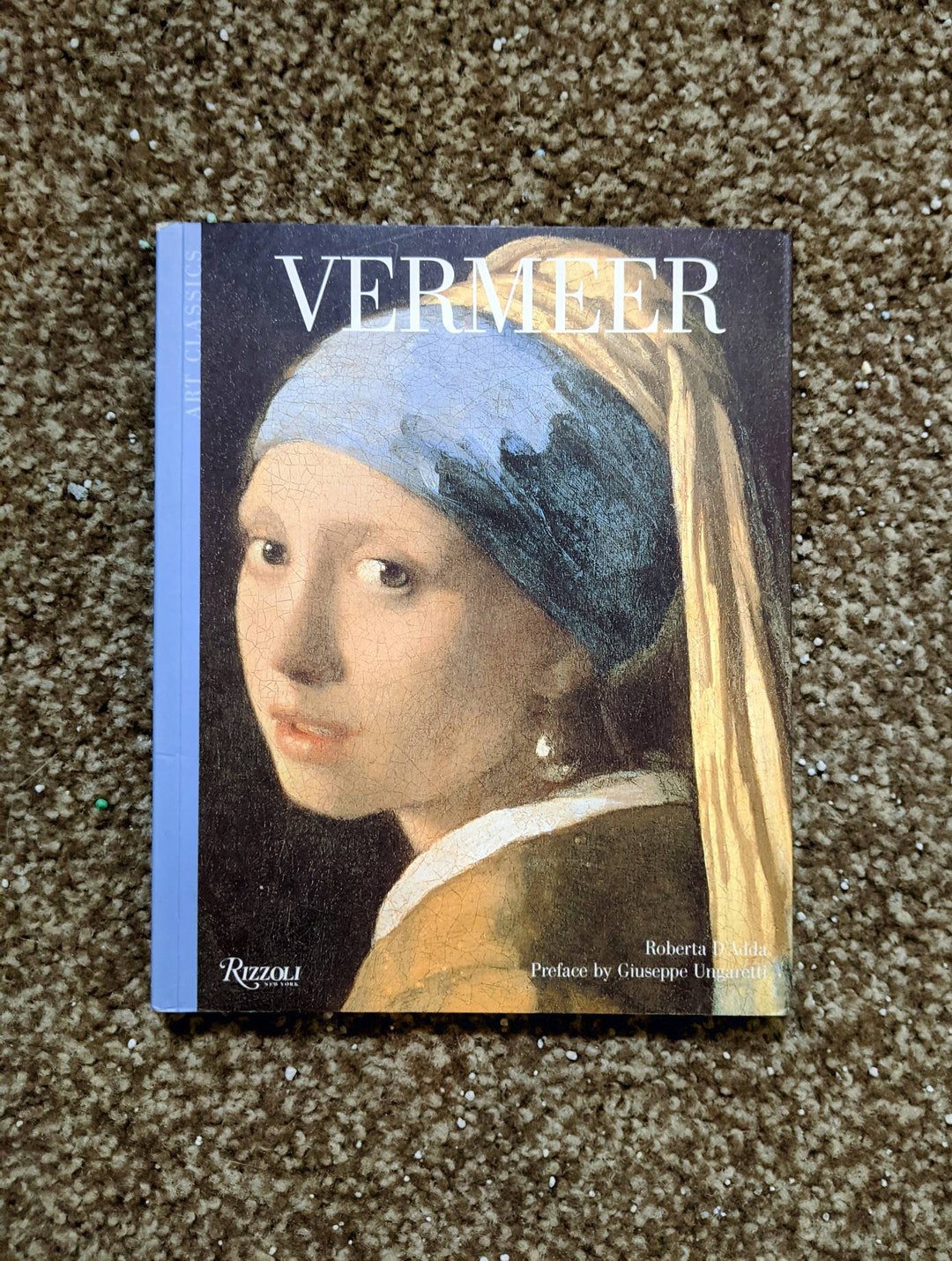 Vermeer, A Study of Art Classics Book - Etsy