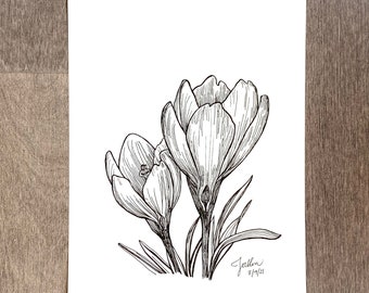 Crocus Drawing | Etsy