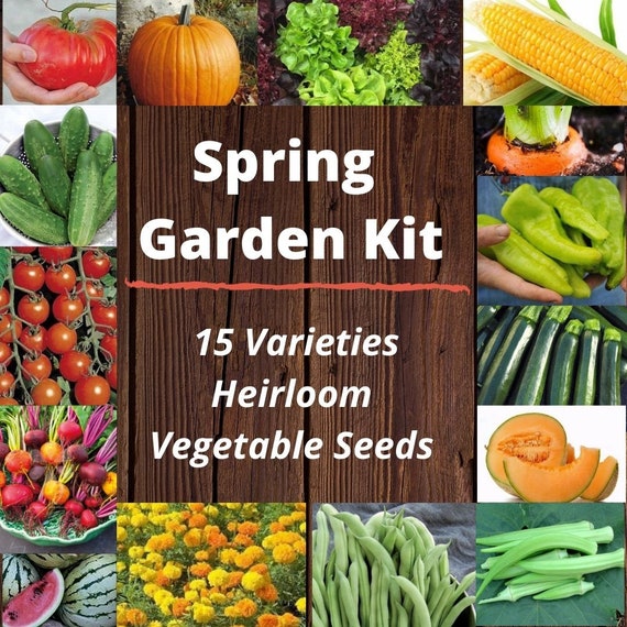 15 Heirloom Vegetable Garden Seed Kit Organic Non Gmo - Etsy