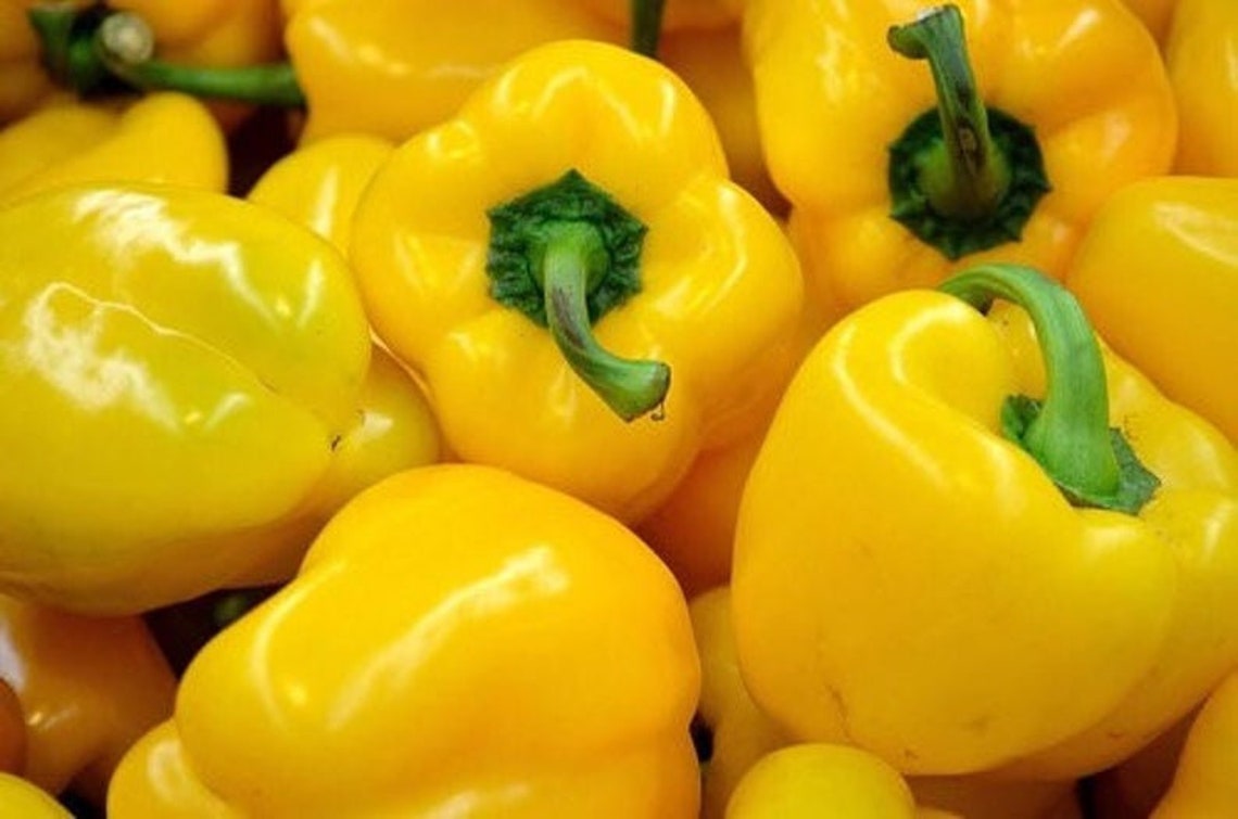 30 Big Yellow Pepper Seeds Yellow Sunbright Heirloom Non - Etsy