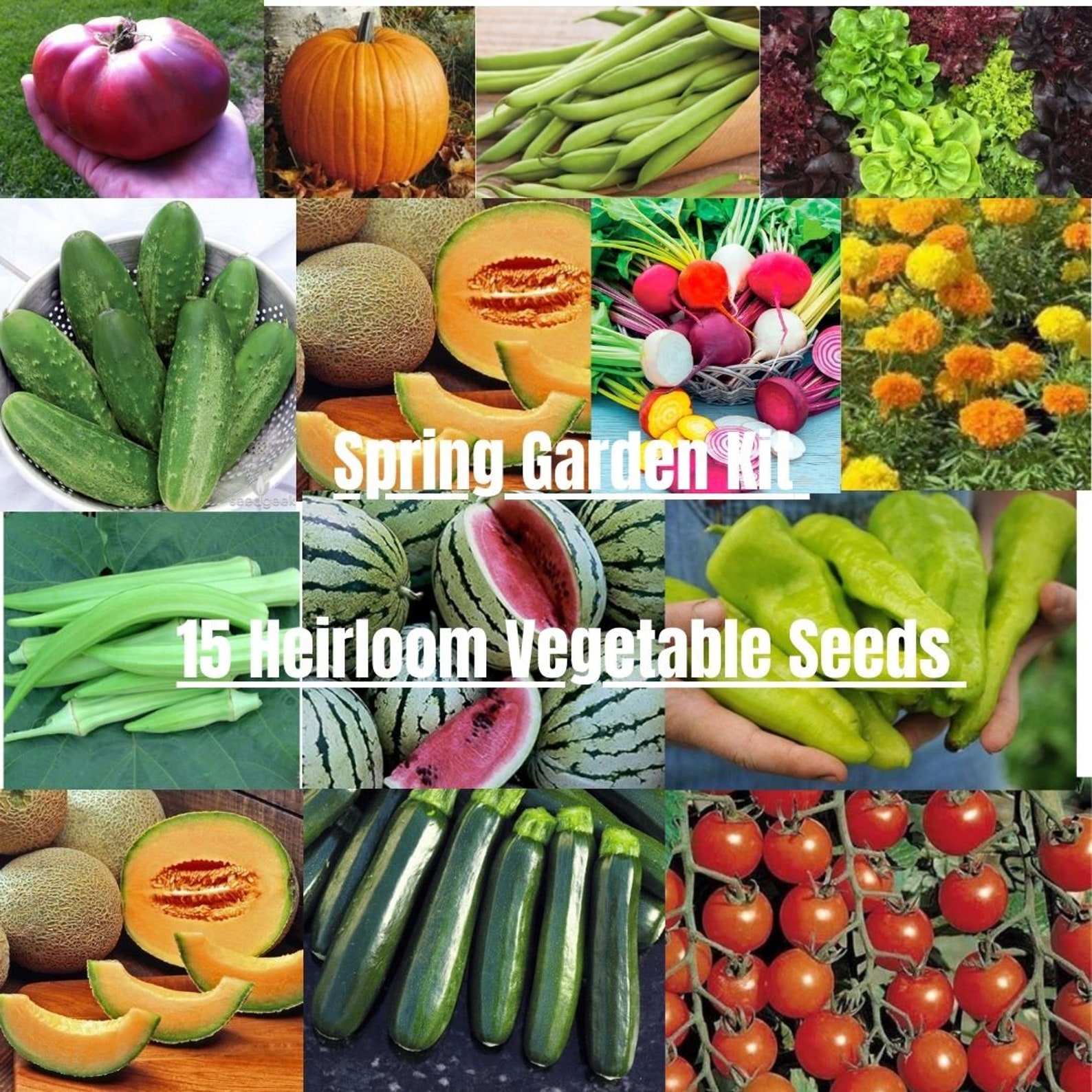 15 Heirloom Vegetable Garden Seed Kit, Organic, Non Gmo Bull Seeds ...
