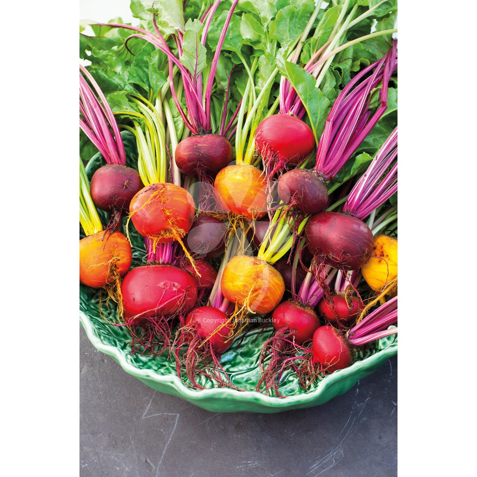 400 Heirloom Beets Rainbow Mix Seeds, Non Gmo Organic Seeds - Etsy