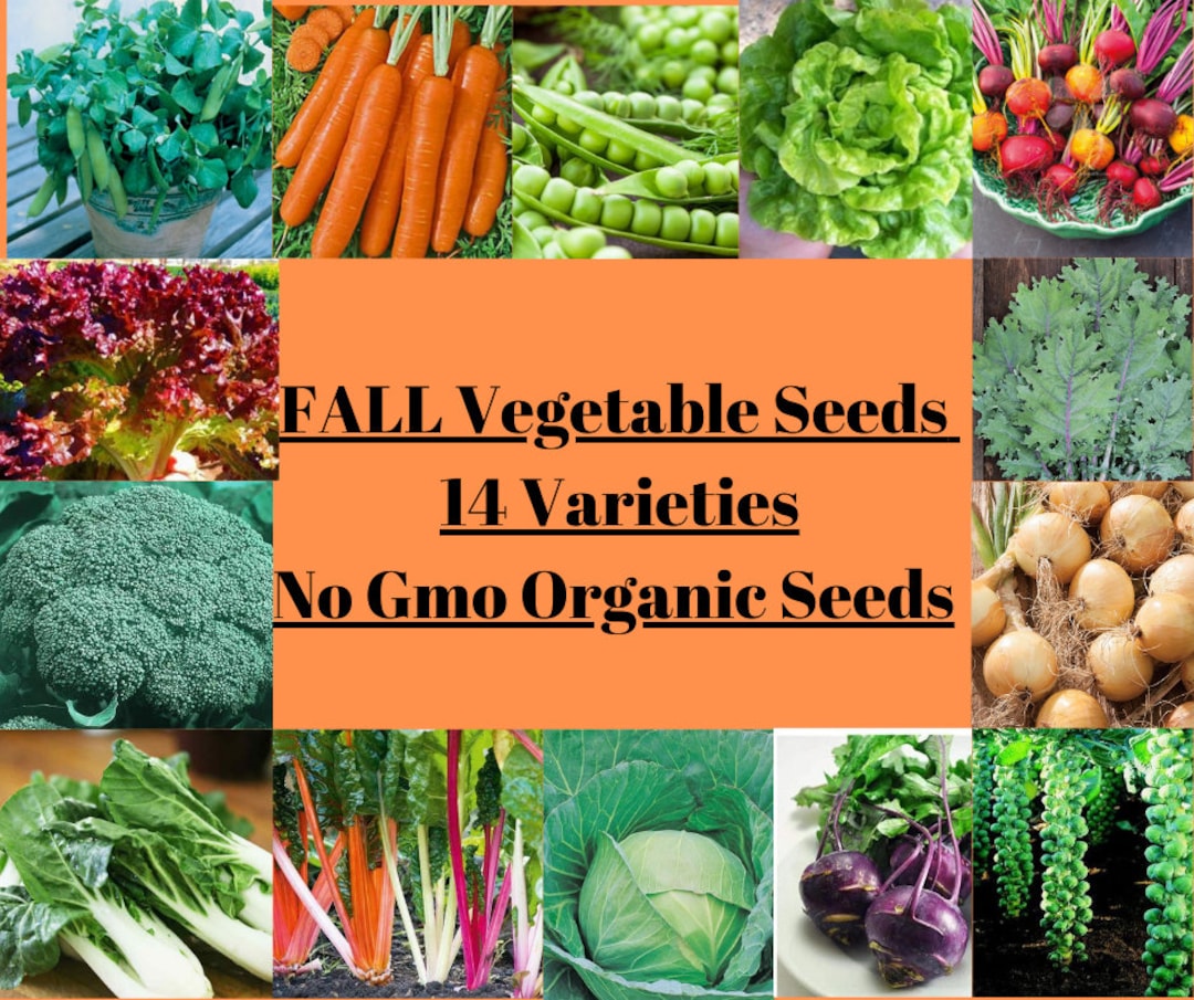 Heirloom Vegetable Seed Kit – 14 Variety Organic Non GMO Seeds - Etsy