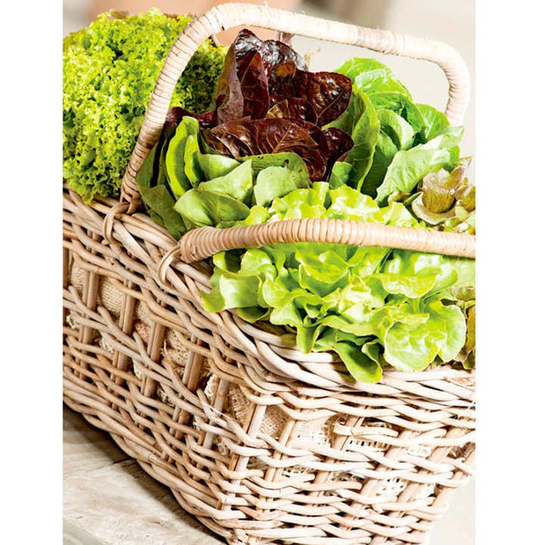 15 Heirloom Vegetable Garden Seed Kit, Organic, Non Gmo Bull Seeds ...
