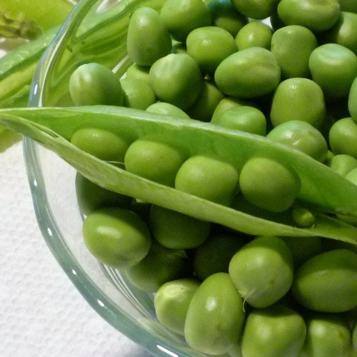 English Peas Seeds Green Arrow Heirloom Organic Non Gmo - Etsy