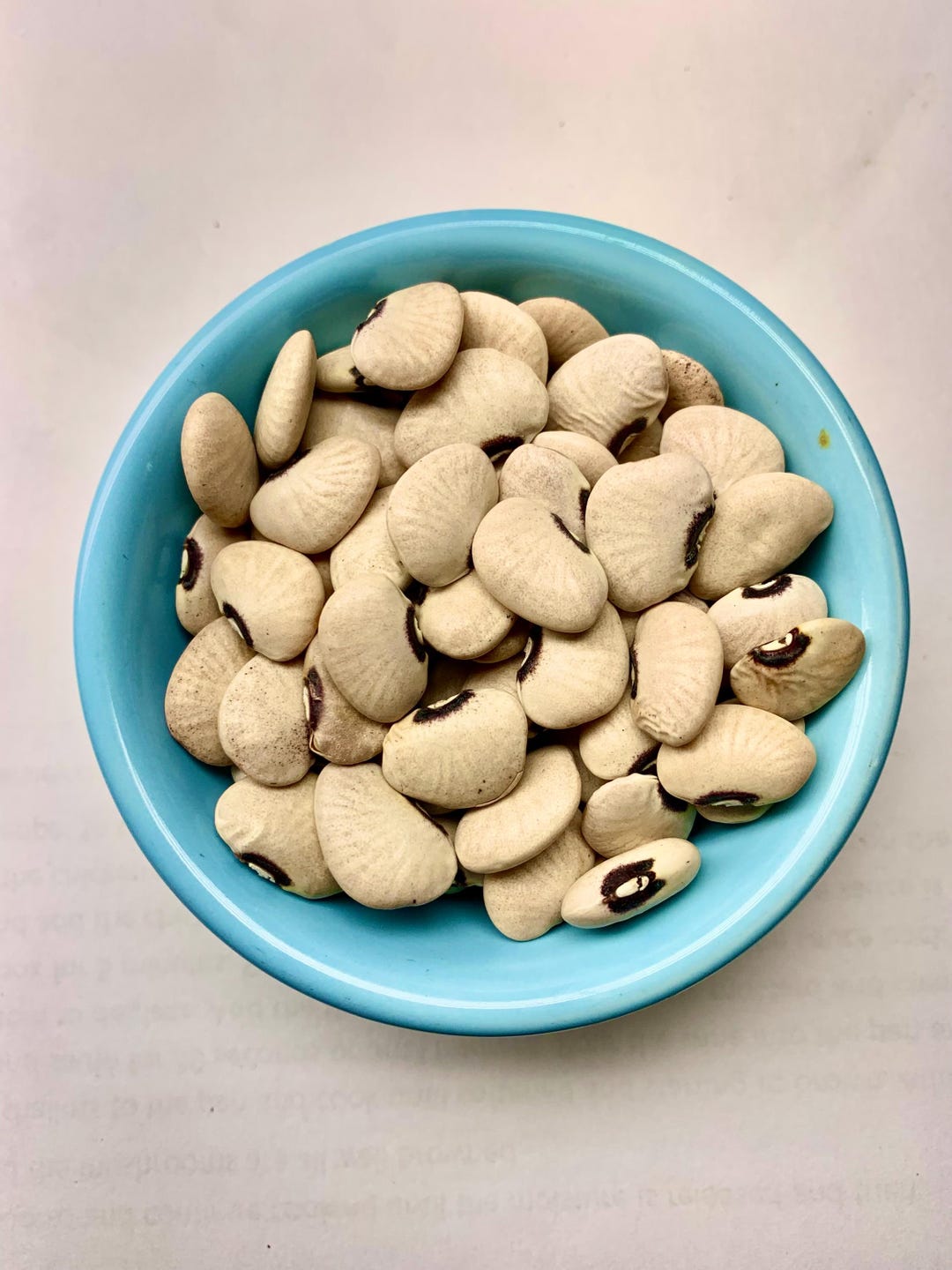 Lima Butter Bean Seeds, Alabama Black Eye, Non Gmo, Organic - Etsy