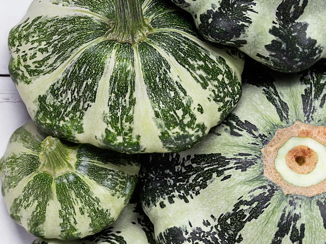 Summer Squash Seeds - Cream and Green - Patty Pan - Heirloom Organic ...