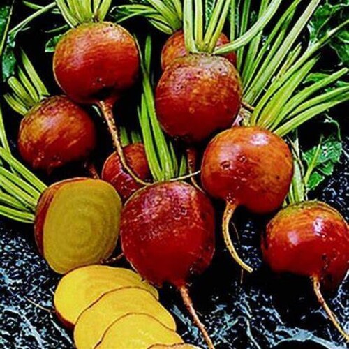 Golden Detroit Beet Seeds - Etsy