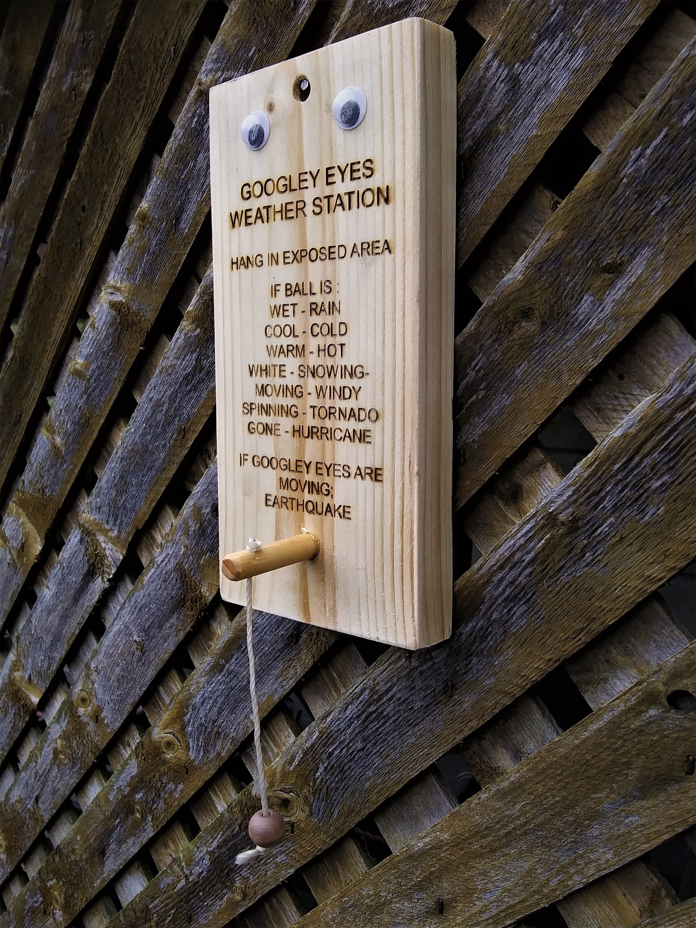 Googely Eyes Weather Station, Gag Gift, Weather Gift, Joke, Jrwoodpun ...