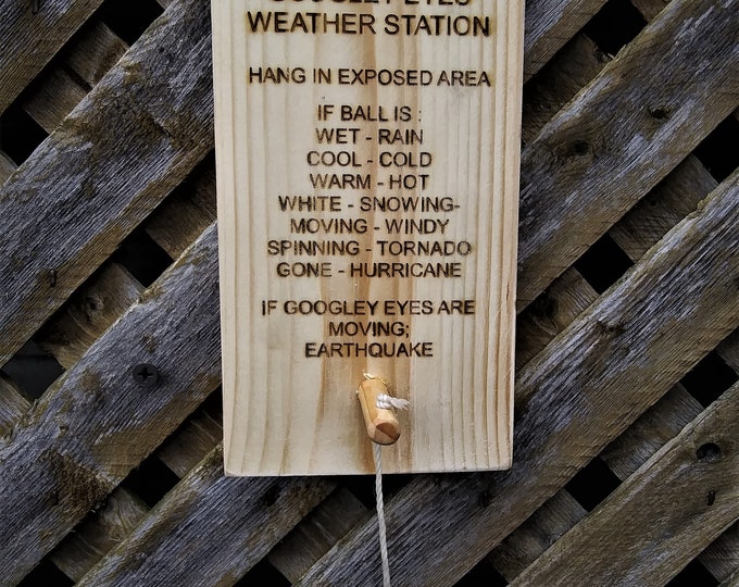 Hand Painted Weather Rock, Novelty Forecasting Stone, Small Gift ...