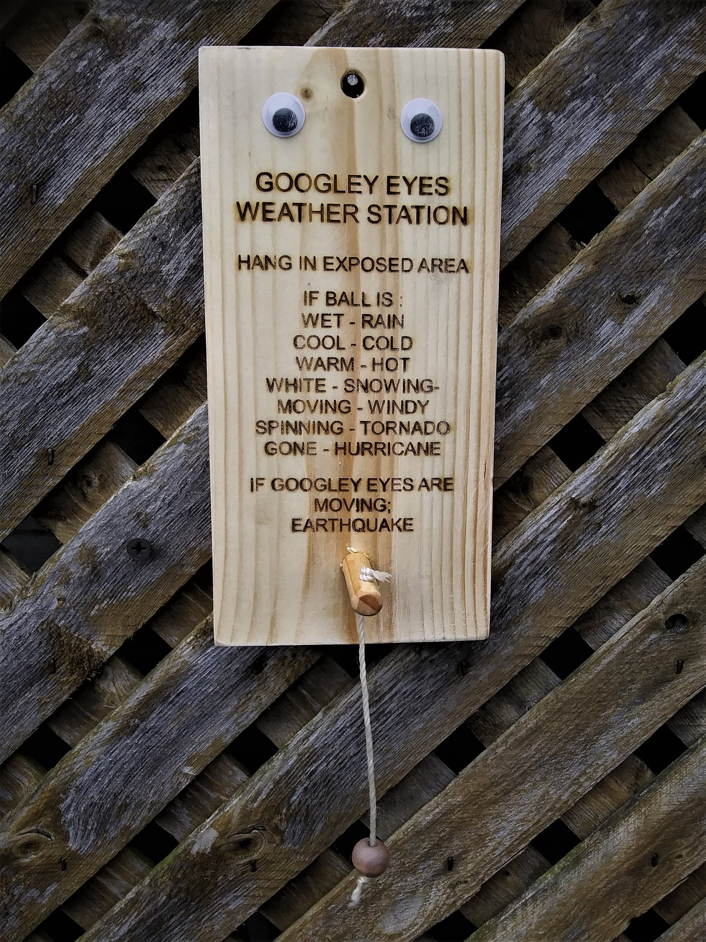 Googely Eyes Weather Station, Gag Gift, Weather Gift, Joke, Jrwoodpun ...