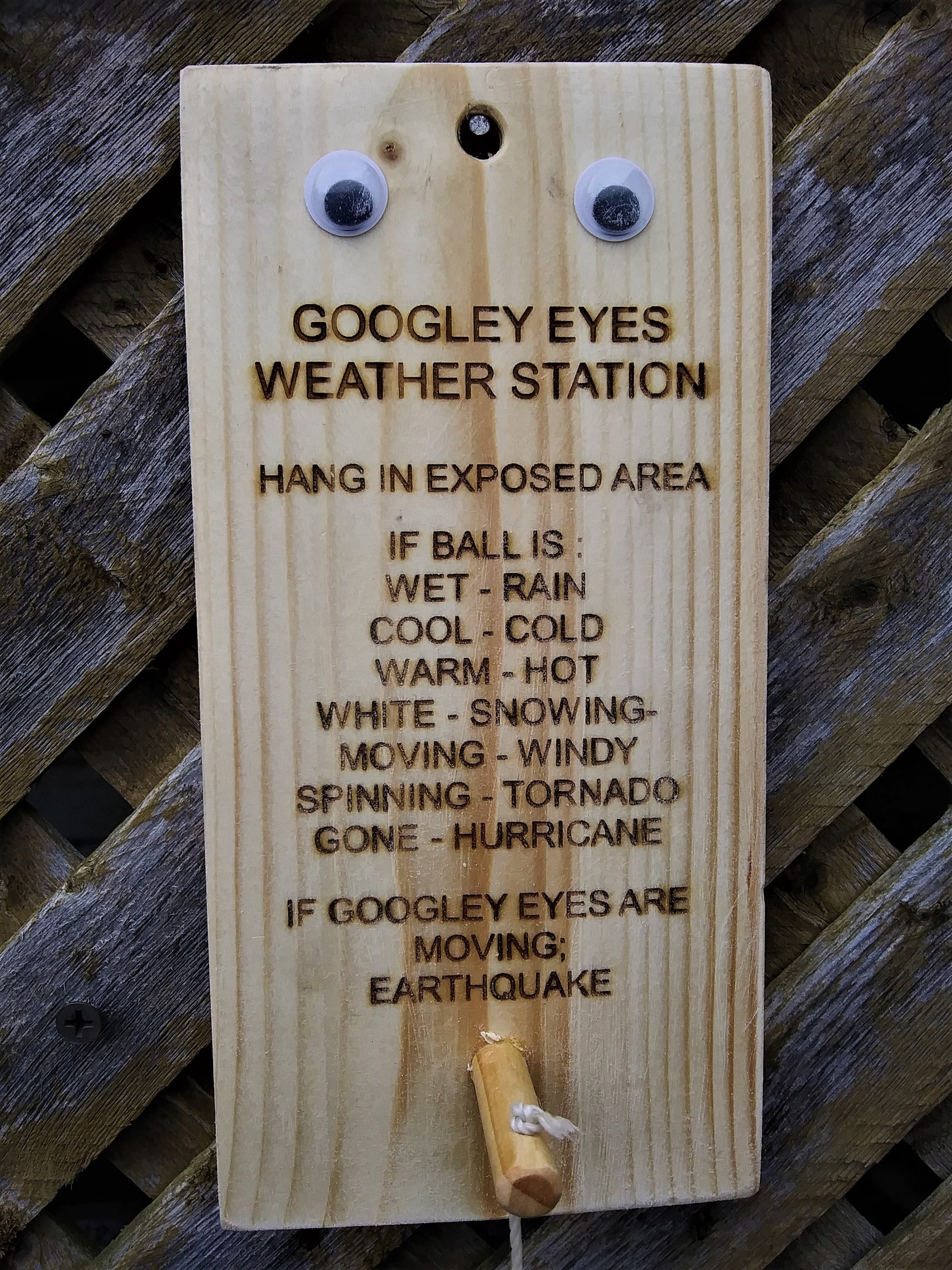 Googely Eyes Weather Station, Gag Gift, Weather Gift, Joke, Jrwoodpun ...