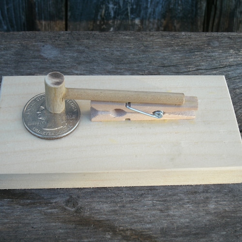 Quarter Pounder Gag Gag Gift Gag Toy Wood Gag Wooden Gag | Etsy