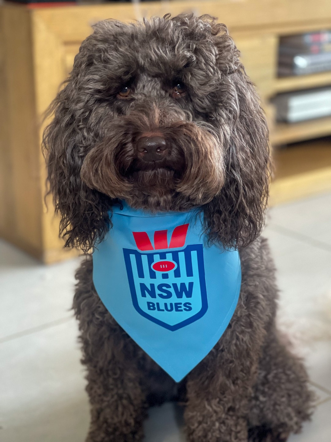State of Origin Dog Bandana - Etsy