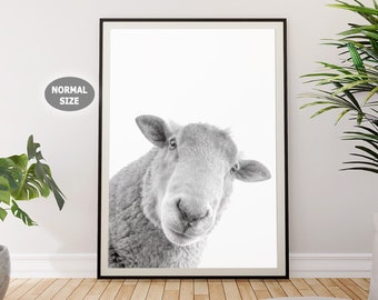 Sheep Wall Art - Etsy
