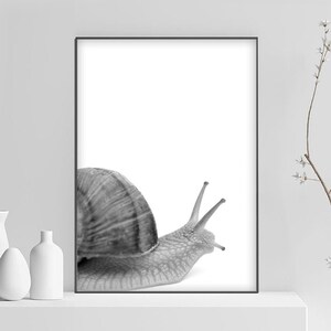 Animal Prints Slug Poster Printable Digital Download Bedroom - Etsy