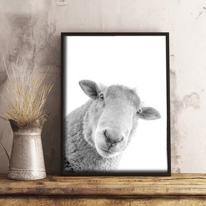 Sheep Wall Art, 10 Formats, Animal Poster, Sheep Poster, Modern Home ...
